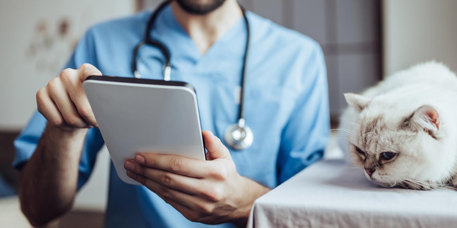 Client Testimonials - Valley Animal Hospital