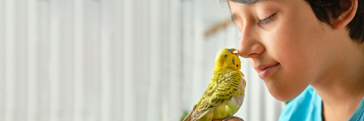 4 Ways to Keep Birds Healthy and Happy During Peak Summer